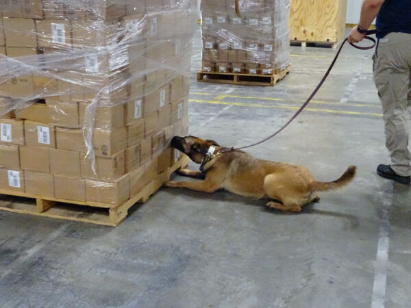 Solutions - Global CFS