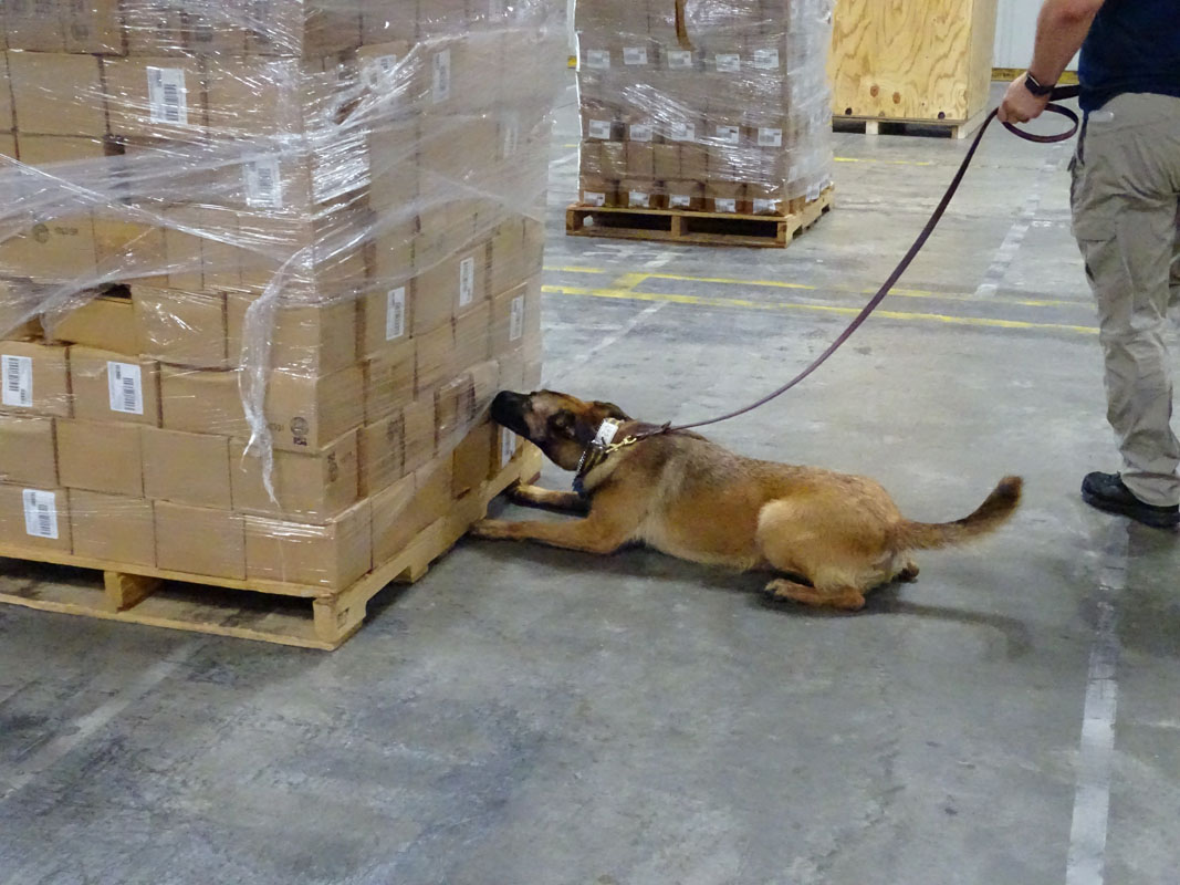 Solutions - Global CFS